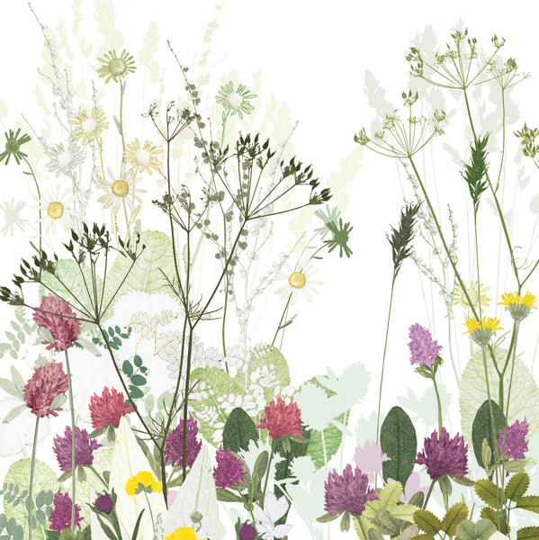 Clover and Cowparsley Print