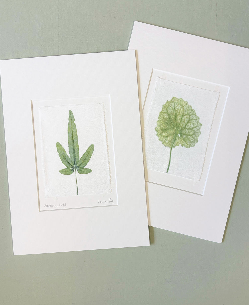 Nature Printing Kit