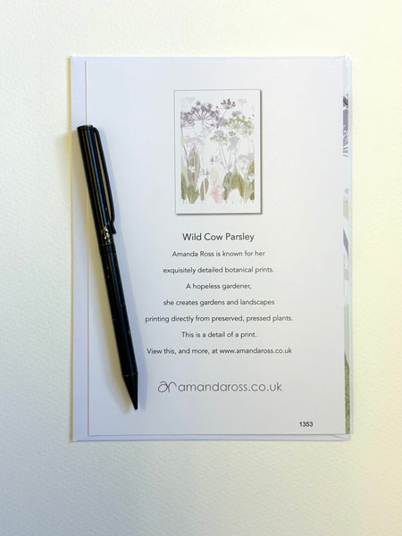 Wild Cowparsley Card