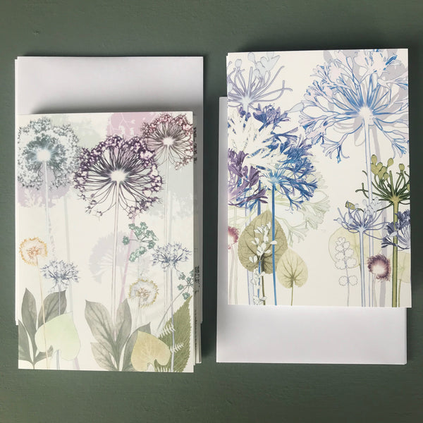 Umbel Notelet Set